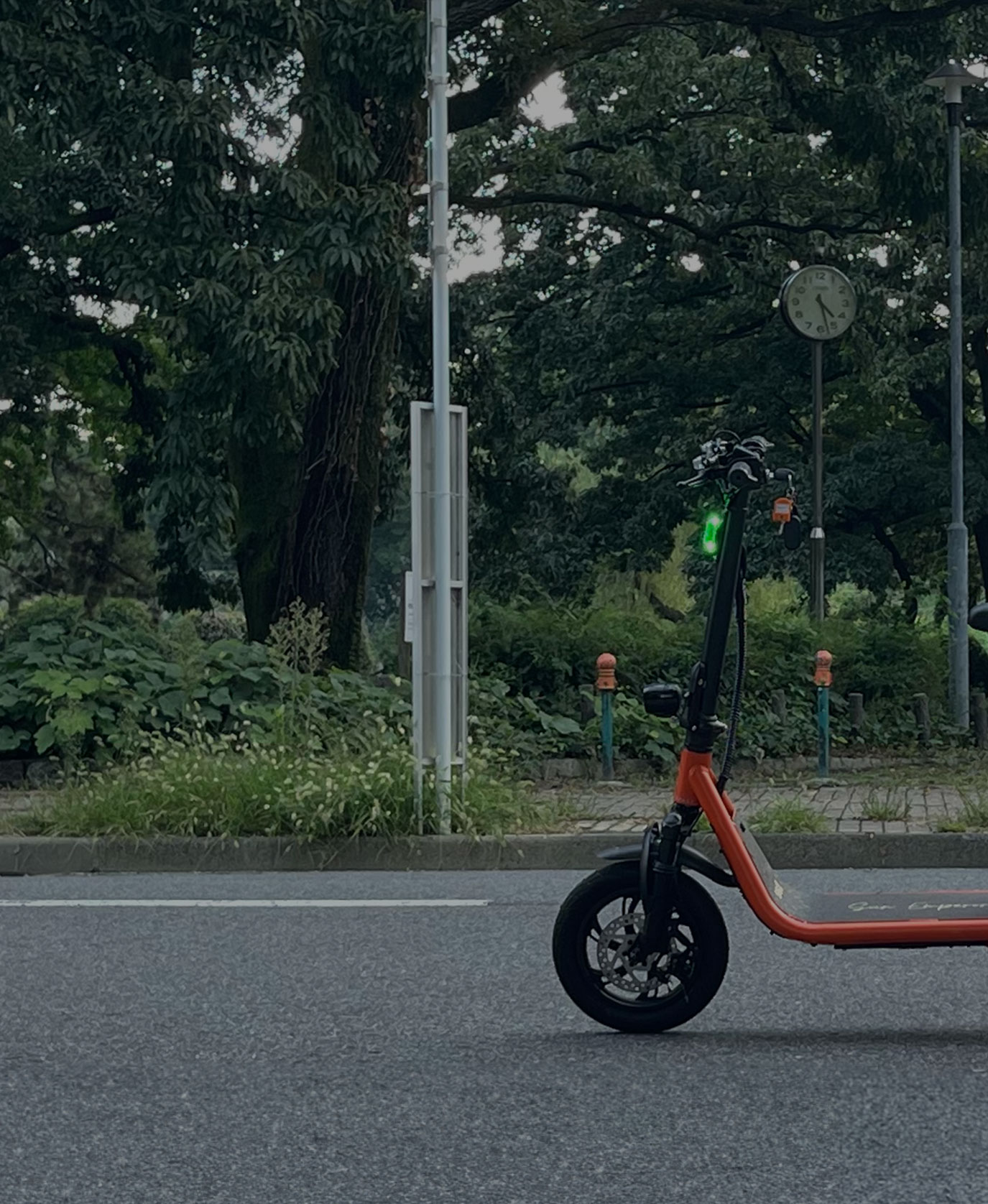 SS1 - Sun Emperor サンエンペラー