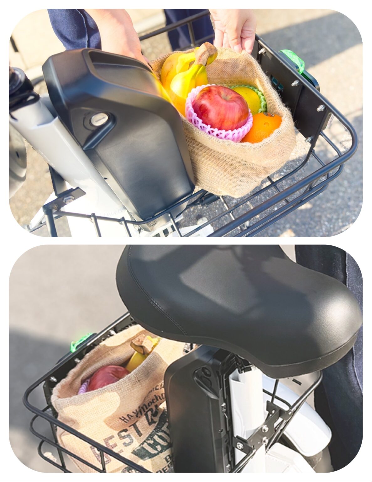 SUNRIN【公式】 / Sun Emperor サンエンペラー